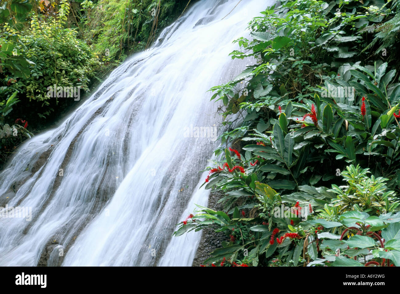 Shaw waterfalls Ocho Rios Jamaica West Indies Central America Stock ...