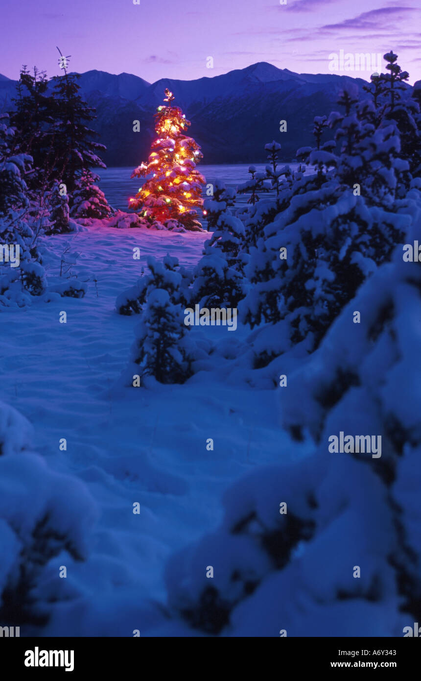 Christmas tree set in hi-res stock photography and images - Alamy