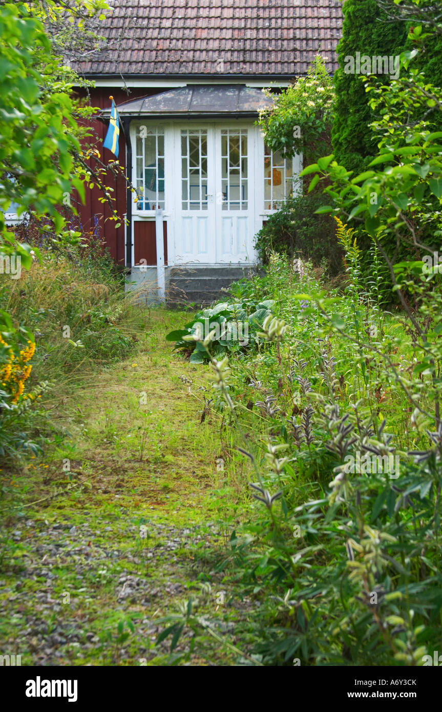 Traditional style Swedish wooden painted house. Overgrown unkempt ...