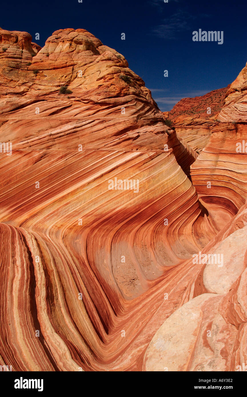 The Wave rock formation in Coyote Buttes in the Pariah Wilderness area ...
