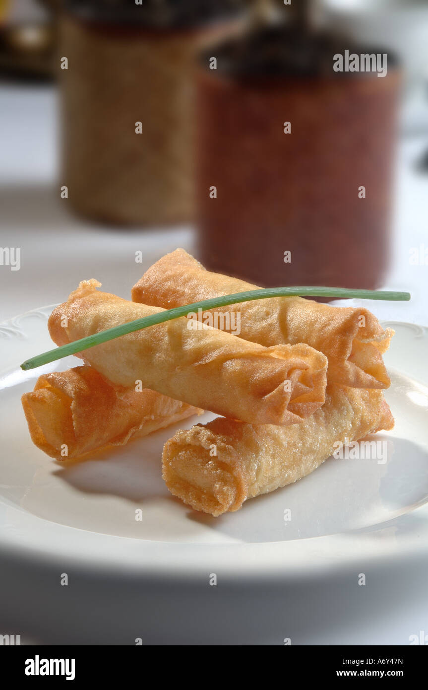 Paneer roll Indian style soft unripened cheese rolls Stock Photo - Alamy