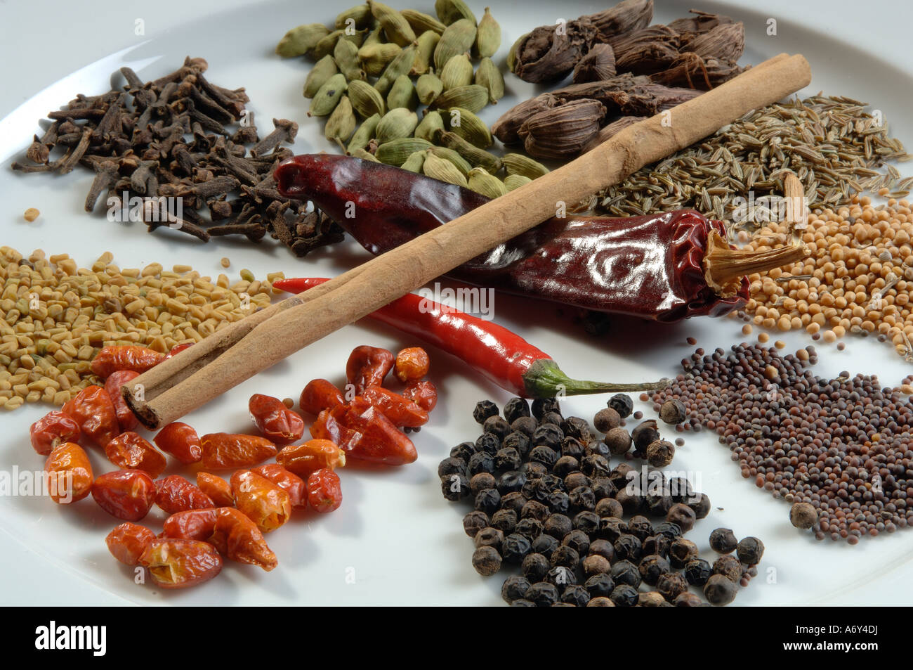 Typical Indian spices Stock Photo - Alamy