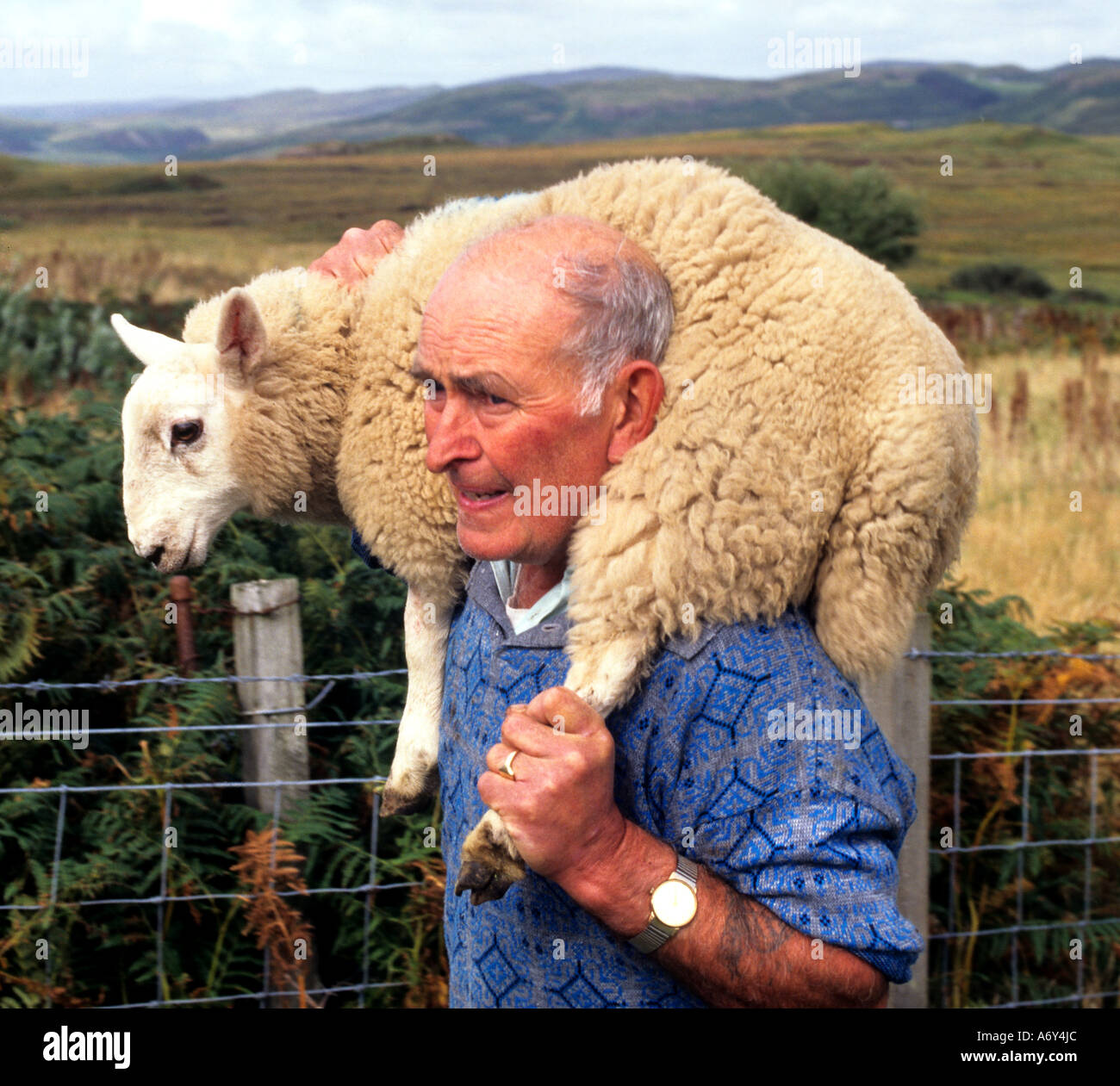Highlands Scottish Scotland sheep farmer farm man Stock Photo - Alamy