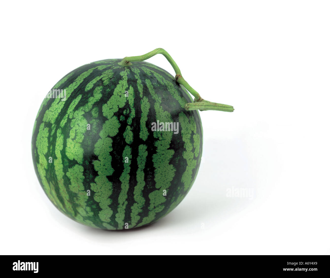 Picture of Fruit Stock Photo - Alamy