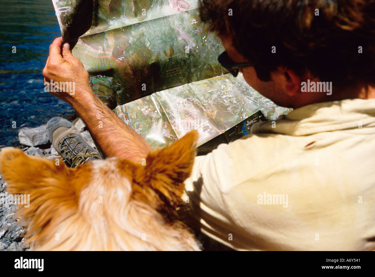 Dog reading map hi-res stock photography and images - Alamy