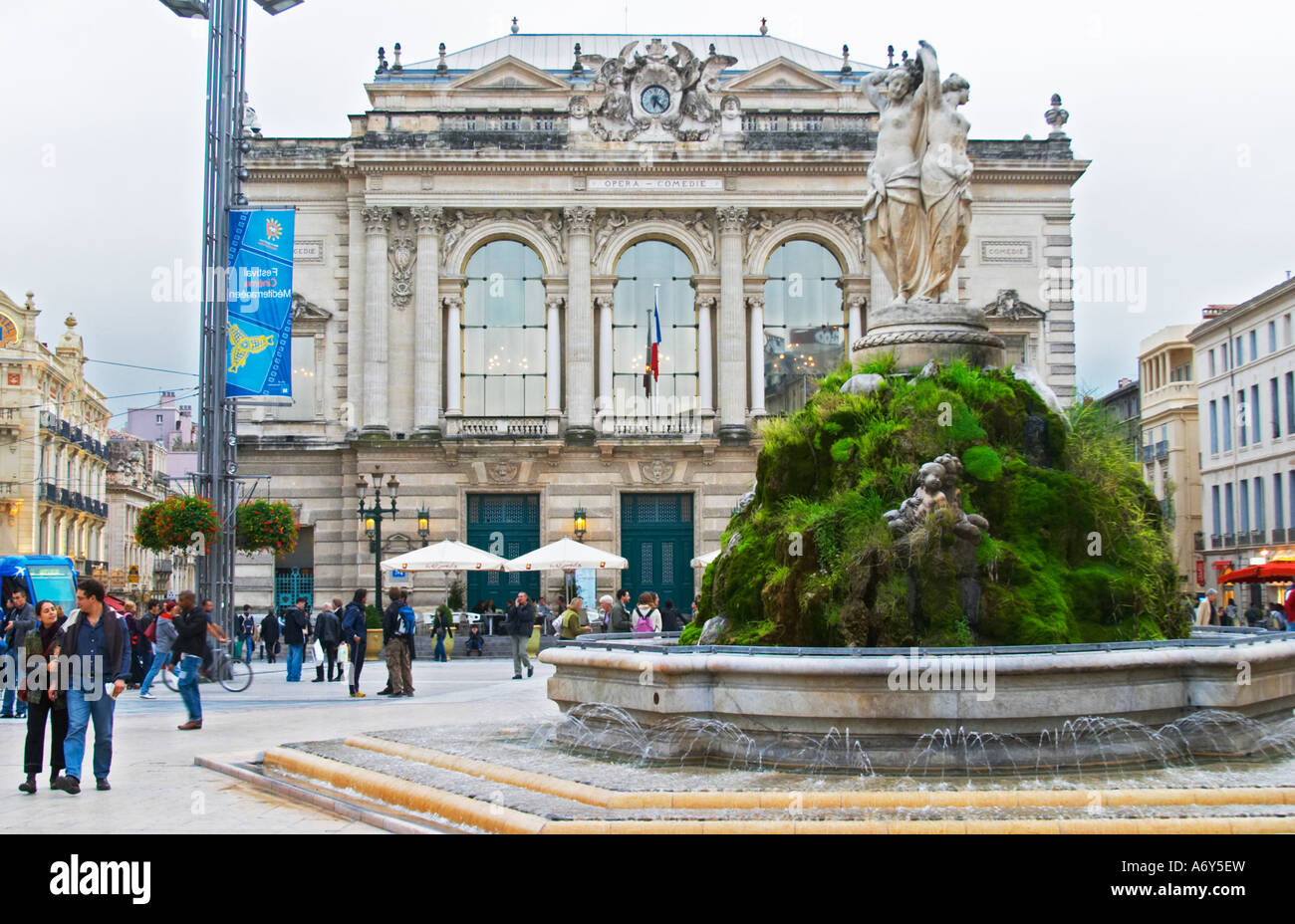 Group de moss hi-res stock photography and images - Alamy