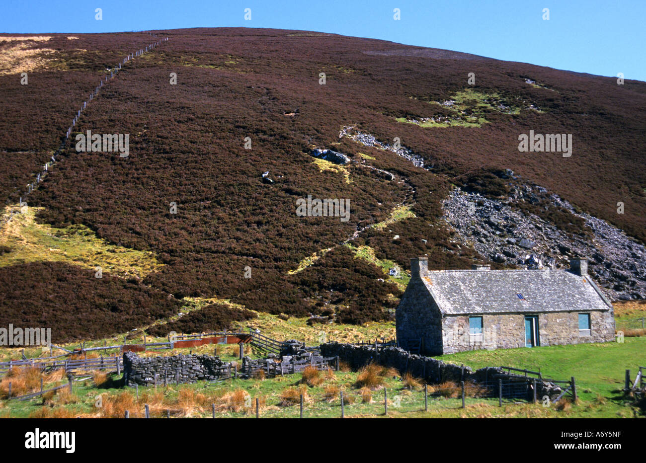Scotland Scottish Farm Farmer Highlands Stock Photo - Alamy
