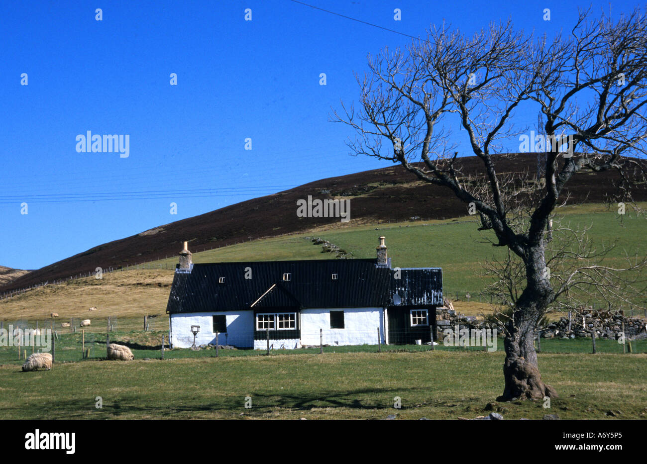 Scotland Scottish Farm Farmer Highlands Skye Stock Photo - Alamy