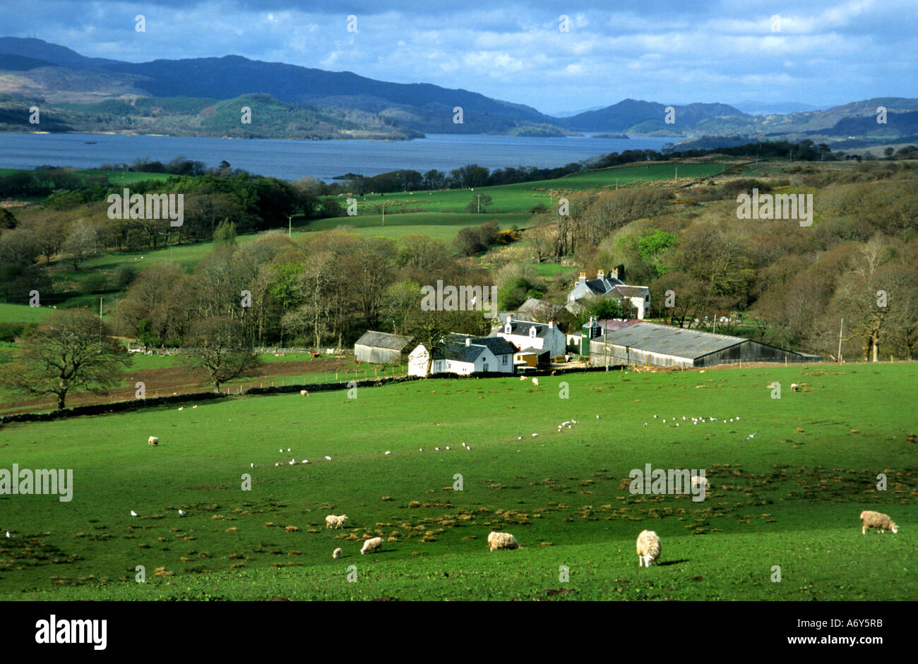 Scotland Scottish Farm Farmer Highlands Stock Photo - Alamy