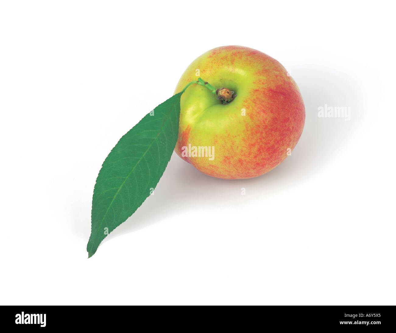 Picture of Fruit Stock Photo - Alamy