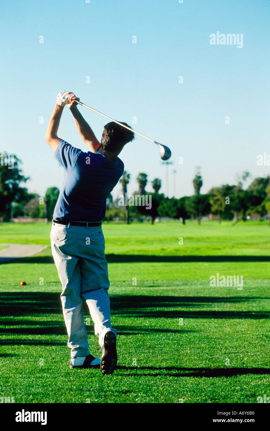 golfer driving the ball Stock Photo - Alamy