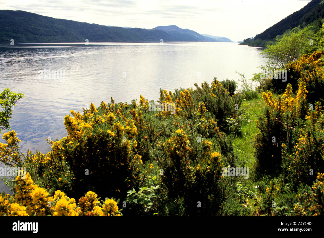 Loch Ness Nessie Scottish Scotland lake Stock Photo - Alamy