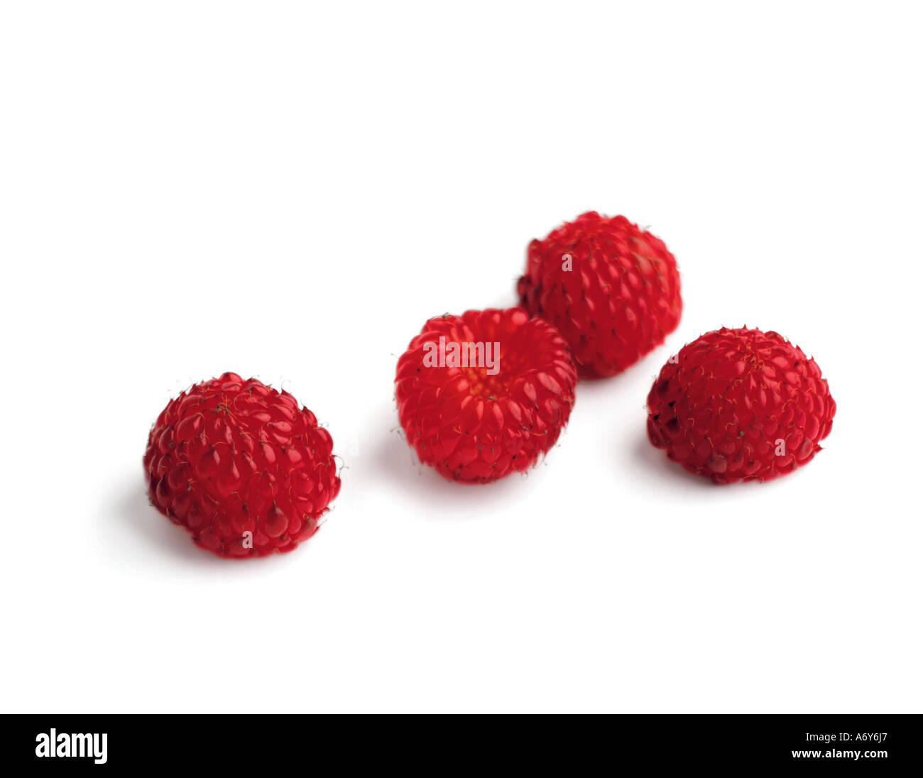 Picture of Fruit Stock Photo - Alamy