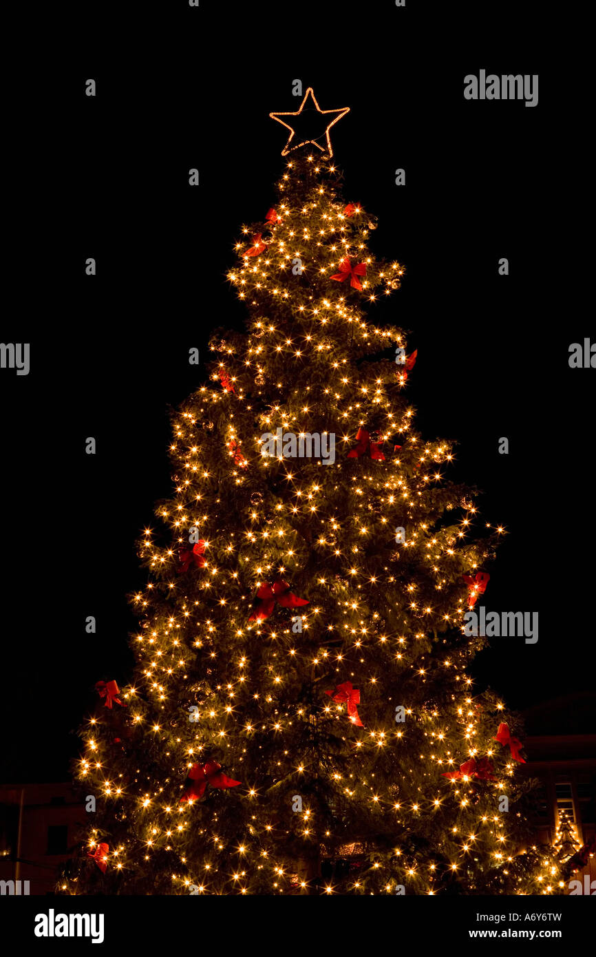 Illuminated Christmas tree at night Stock Photo - Alamy