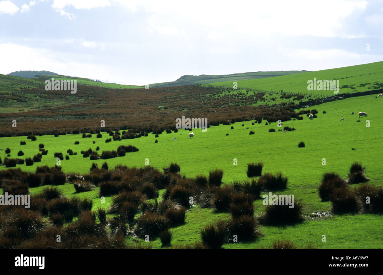 Community scottish landscapes hi-res stock photography and images - Alamy