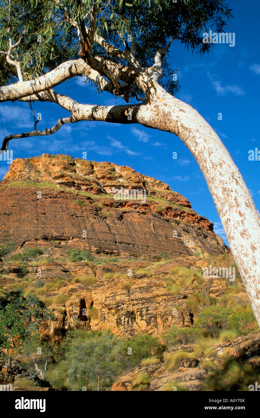 Keep River National Park Northern Territory Australia Pacific Stock ...