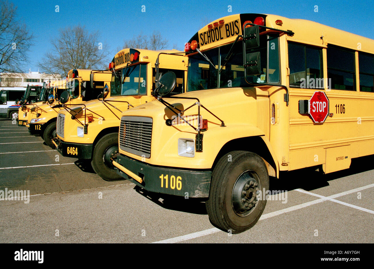 Row of school buses Stock Photo - Alamy