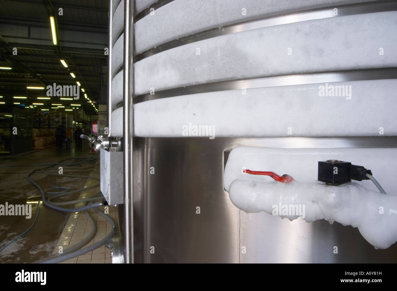 Mas La Chevaliere. near Beziers. Languedoc. Cold stabilisation ...
