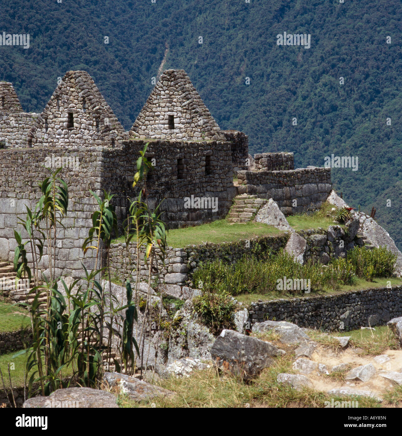 Incan ruins at Machu Picchu Andes Mountains Peru Stock Photo - Alamy