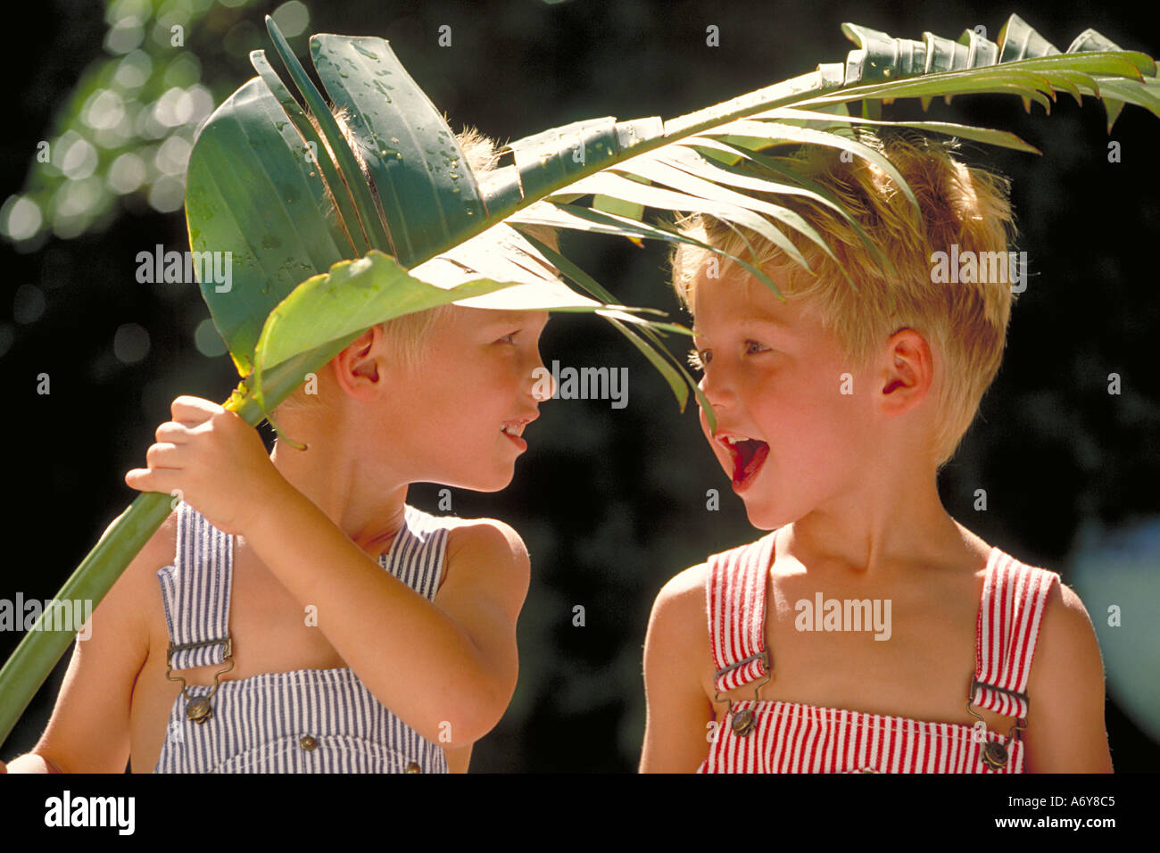 portrait of twin brothers talking to each other Stock Photo - Alamy