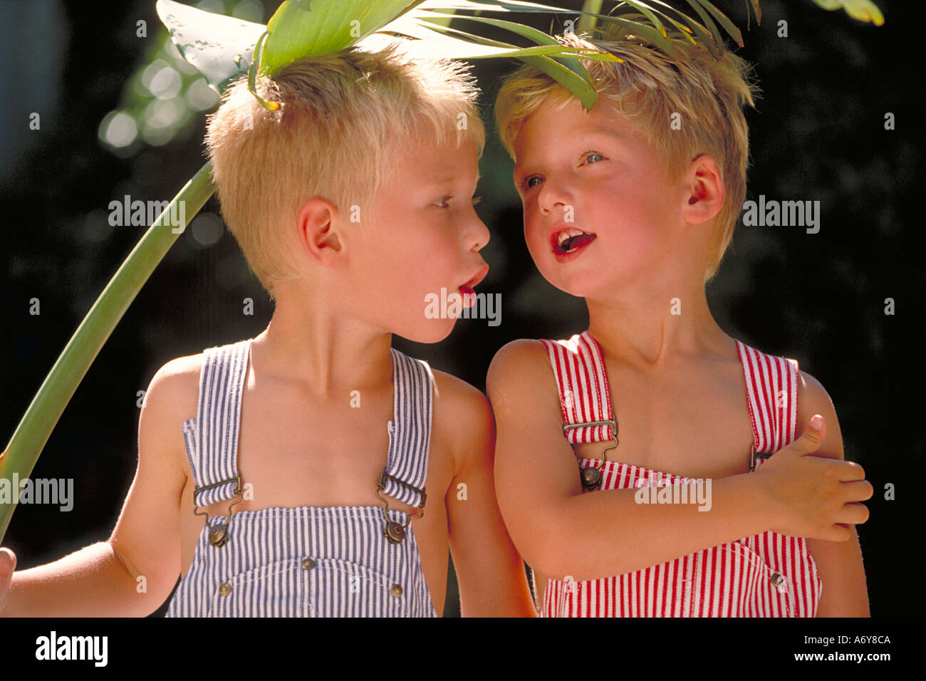 portrait of twin brothers talking to each other Stock Photo - Alamy