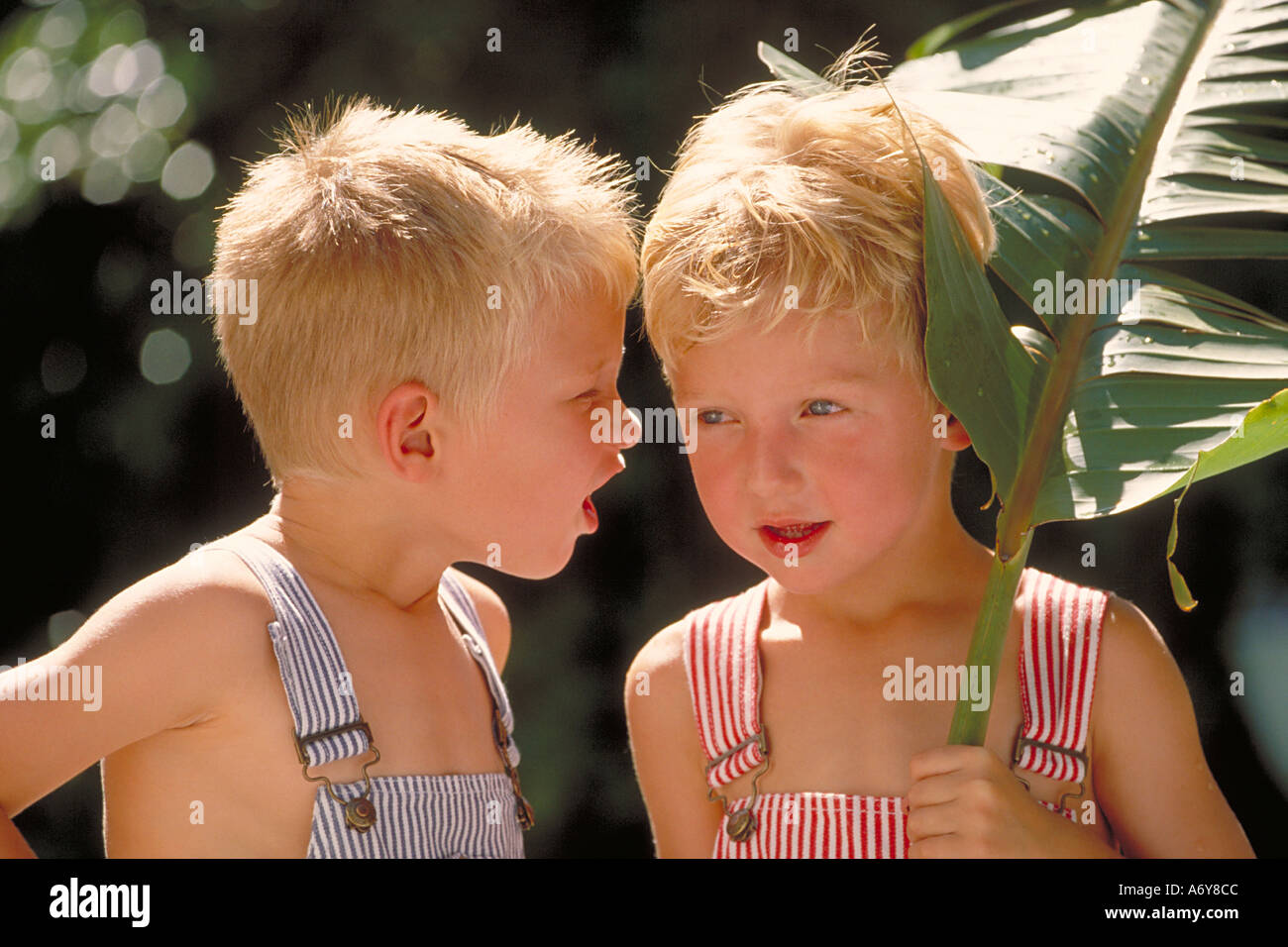 portrait of twin brothers talking to each other Stock Photo - Alamy