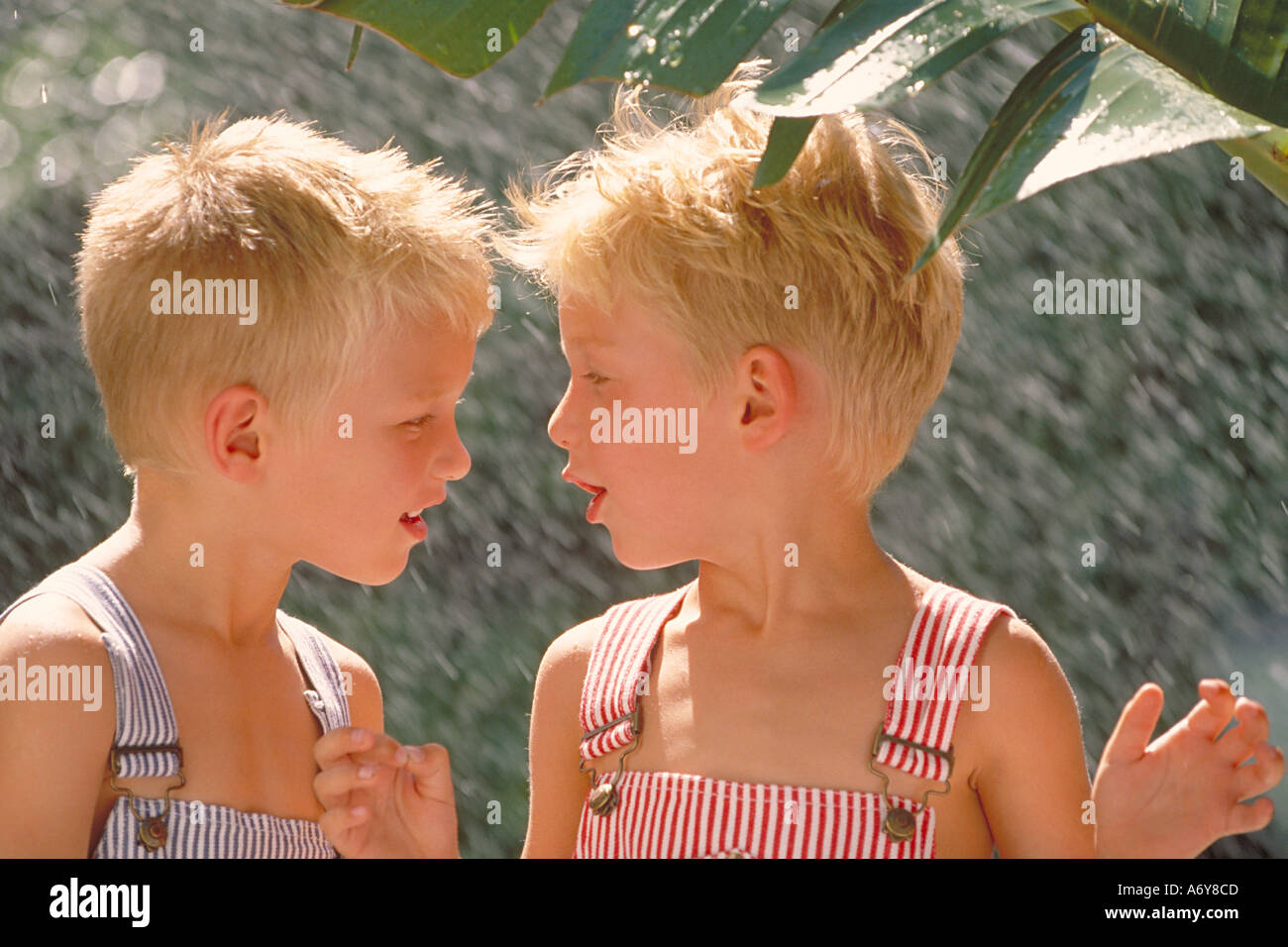 portrait of twin brothers standing in the rain talking to each other ...