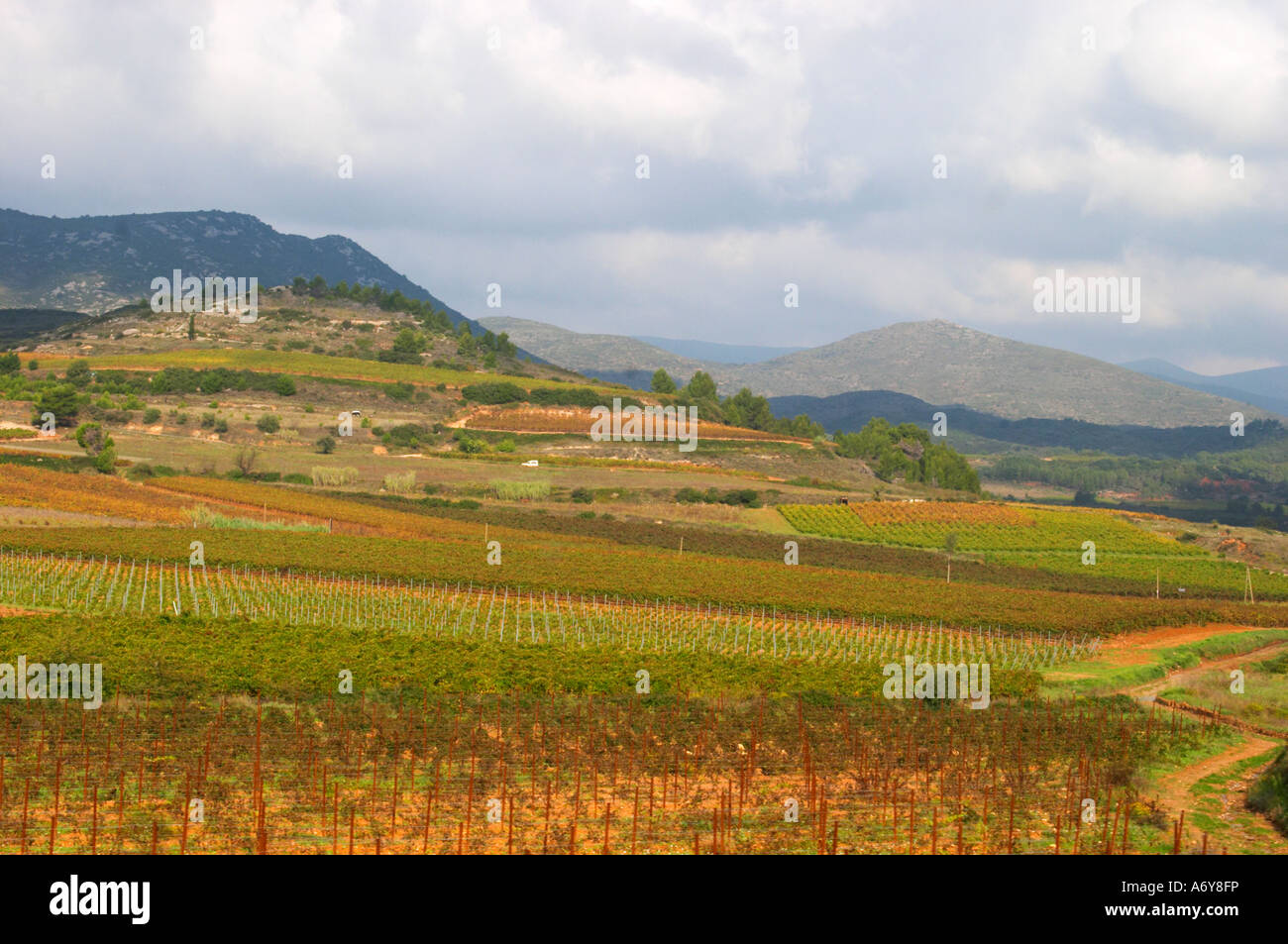 Saint chinian vineyard hi-res stock photography and images - Alamy