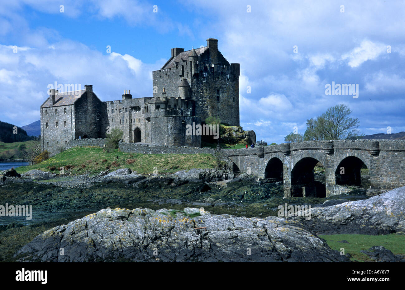 Scottish medieval knight hi-res stock photography and images - Alamy