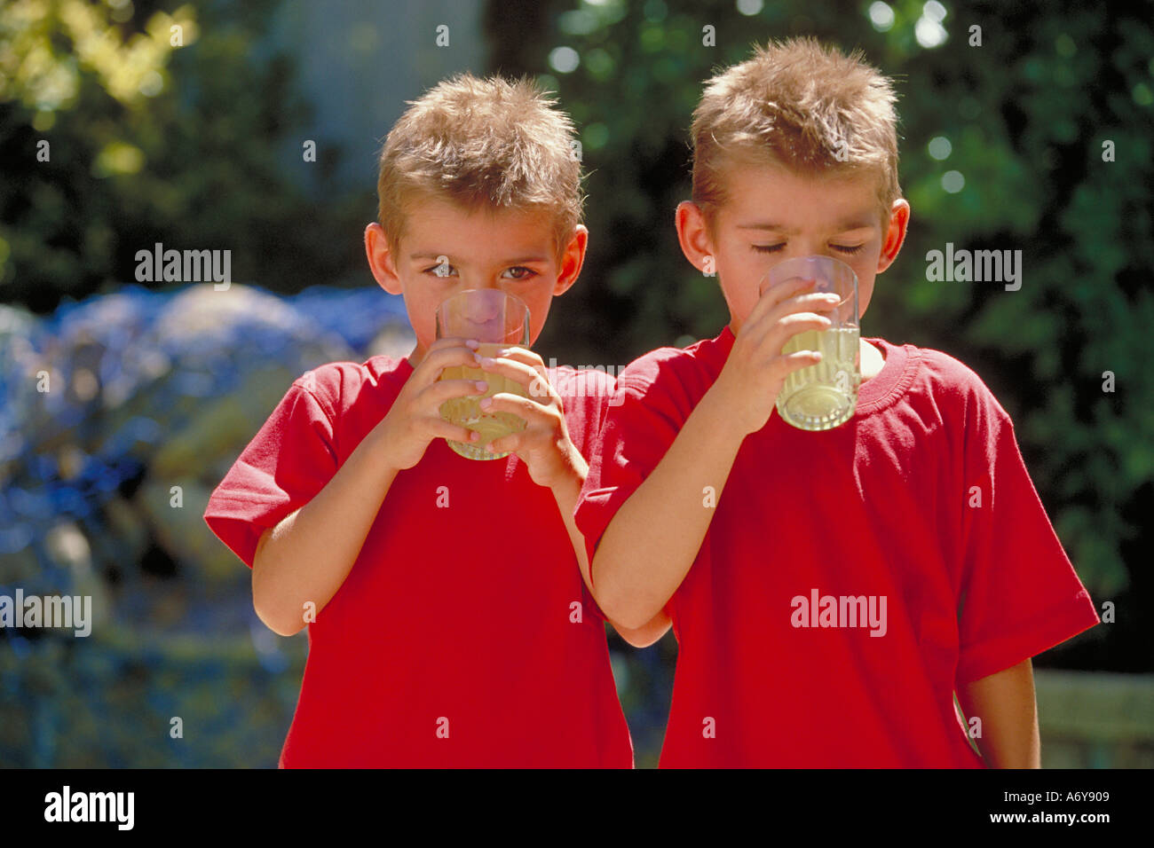 portrait of twin brothers drinking lemonade Stock Photo - Alamy