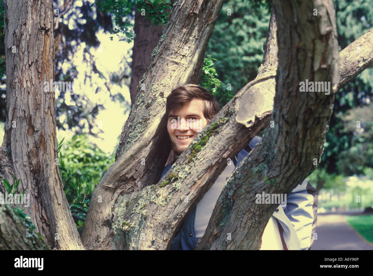 Man hiding between tree branches Stock Photo - Alamy