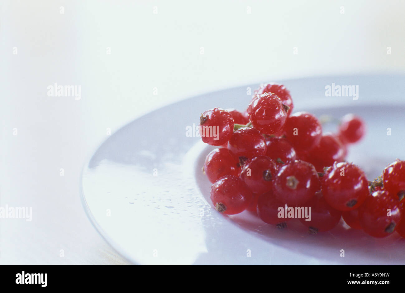 Food photography with currents hi-res stock photography and images - Alamy