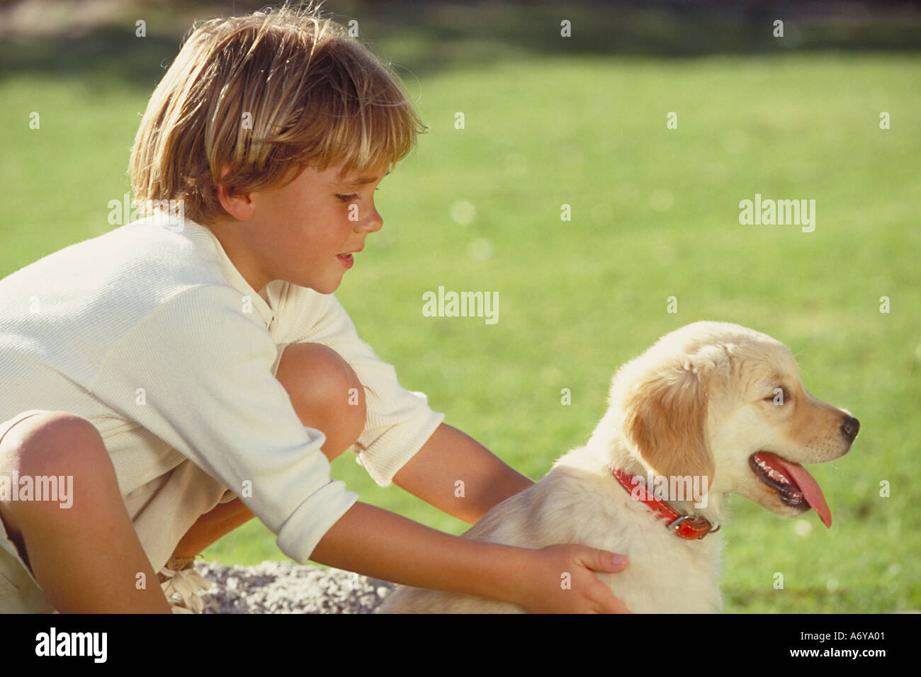 Portrait dog and boy hi-res stock photography and images - Alamy