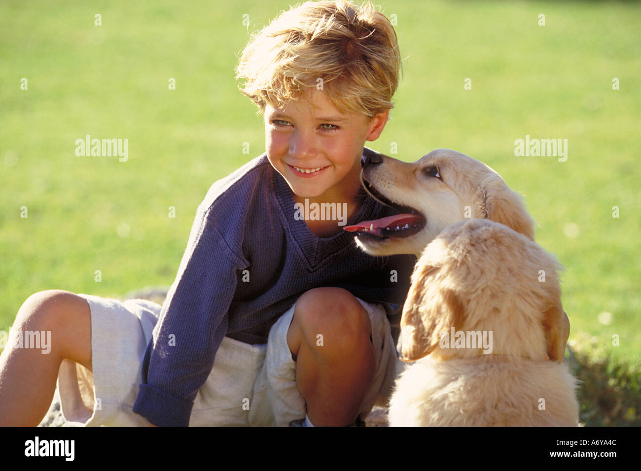 Boy with dogs hi-res stock photography and images - Alamy