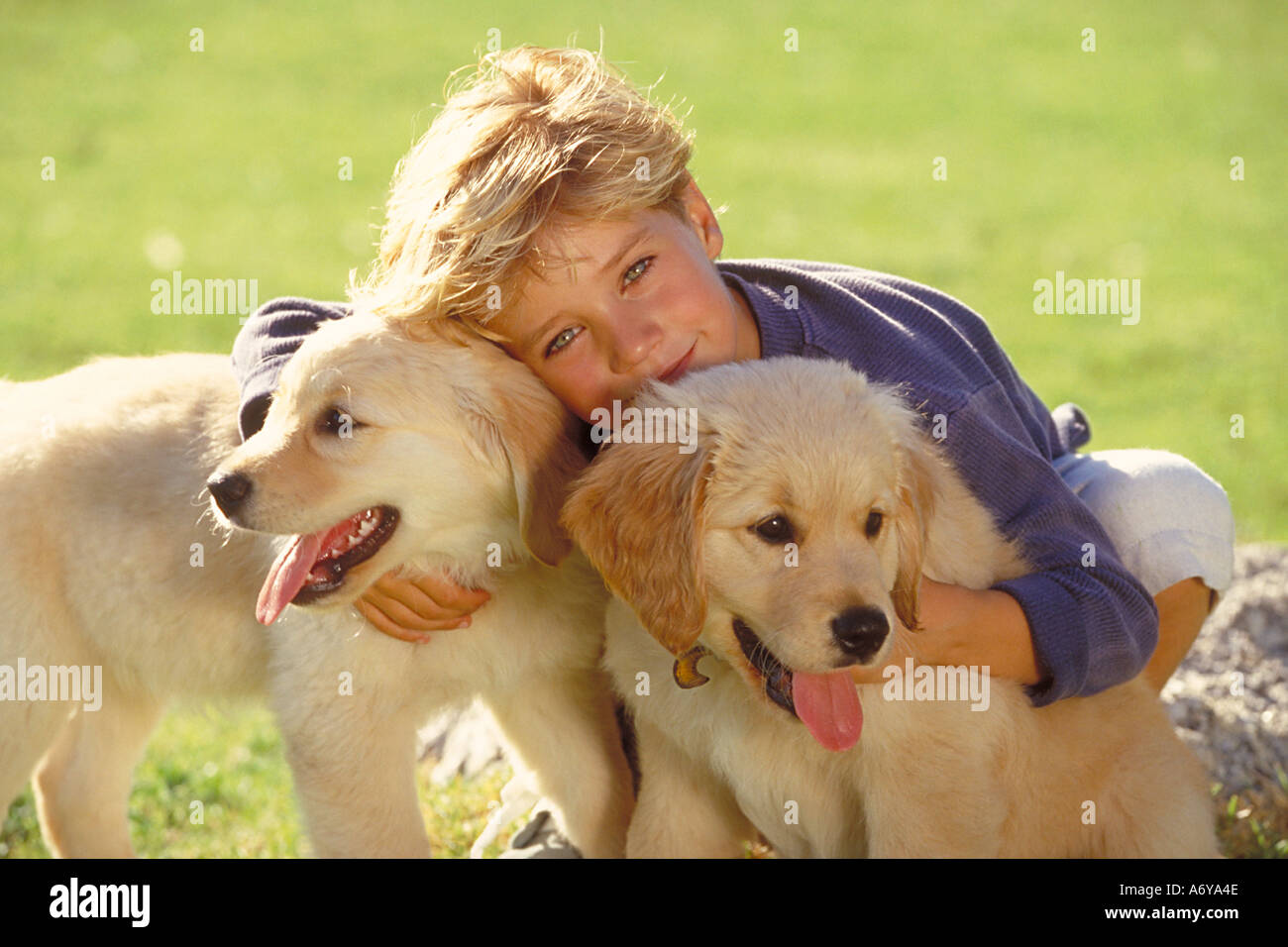 Boy with dogs hi-res stock photography and images - Alamy