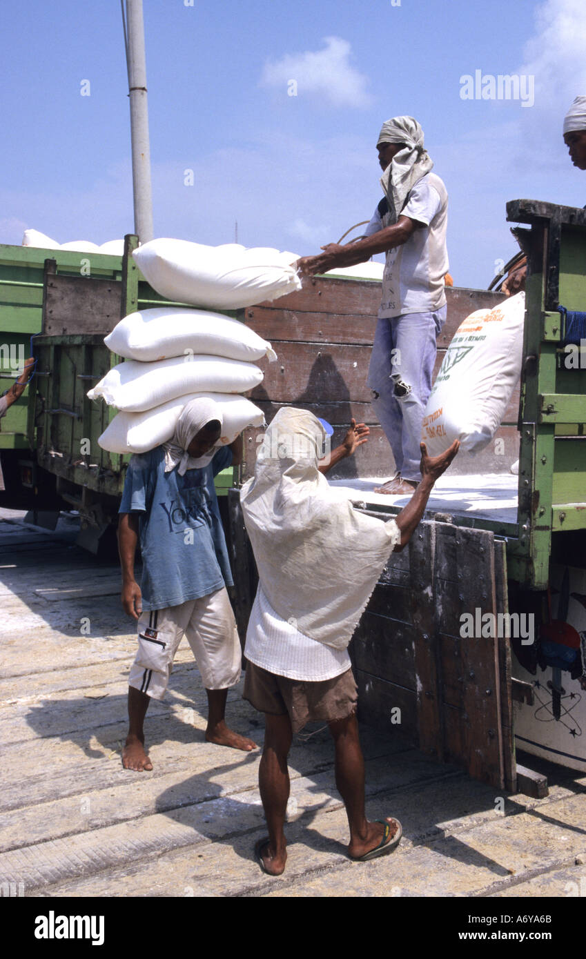 Porters carrying bags of rice to load a "Bugis Boat "at a port in ...