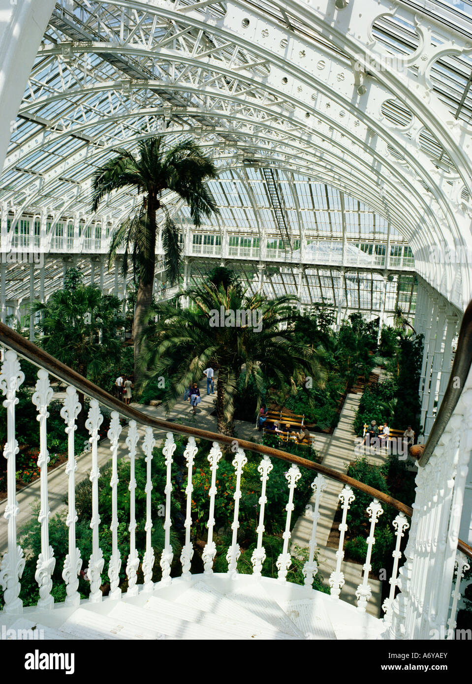 Interior of the Temperate House restored in 1982 Kew Gardens UNESCO ...