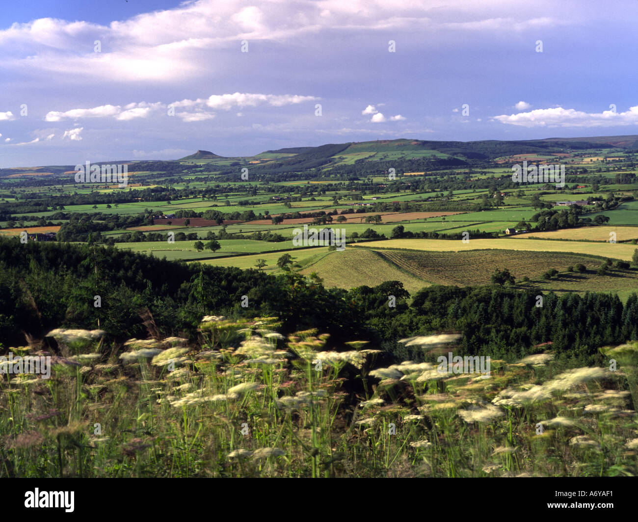 Roseberry Topping from Clay Bank North Yorkshire Moors England Stock ...