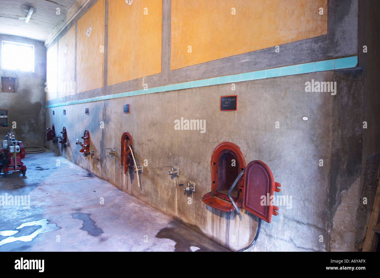 Chateau Mire l'Etang. La Clape. Languedoc. Concrete fermentation and ...