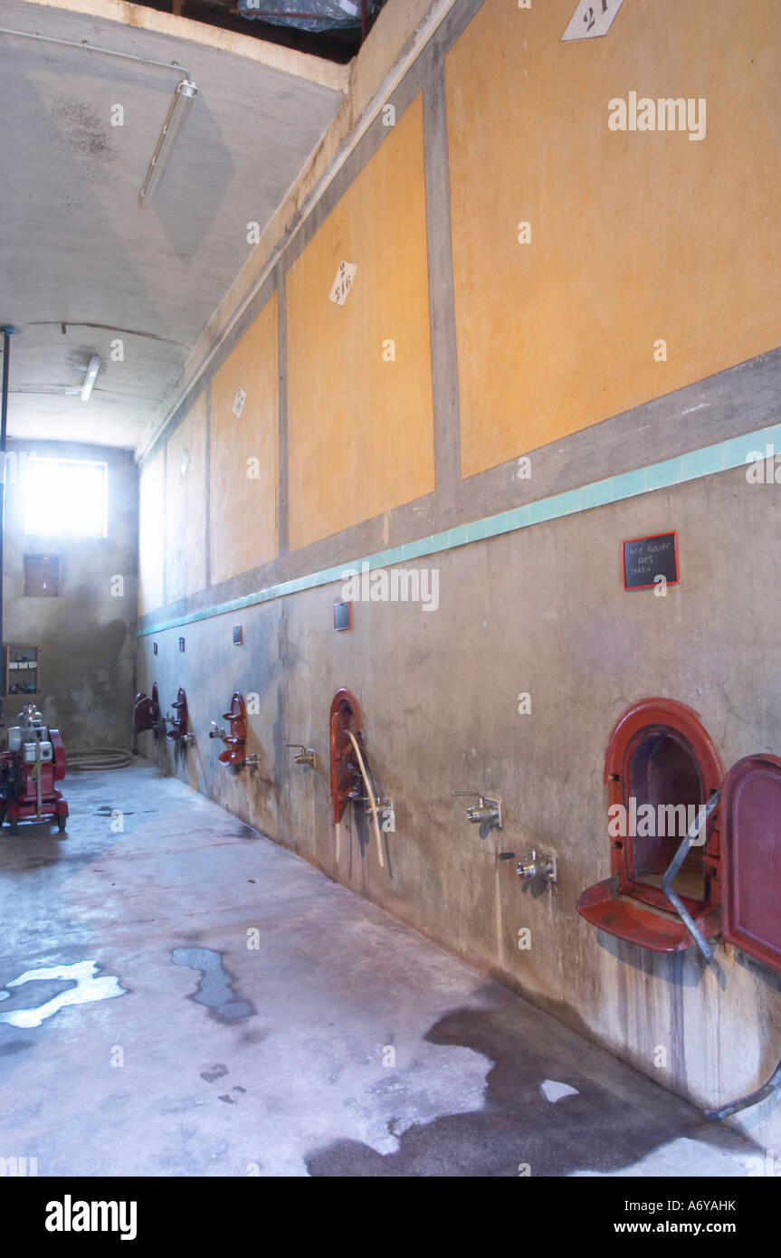 Chateau Mire l'Etang. La Clape. Languedoc. Concrete fermentation and ...