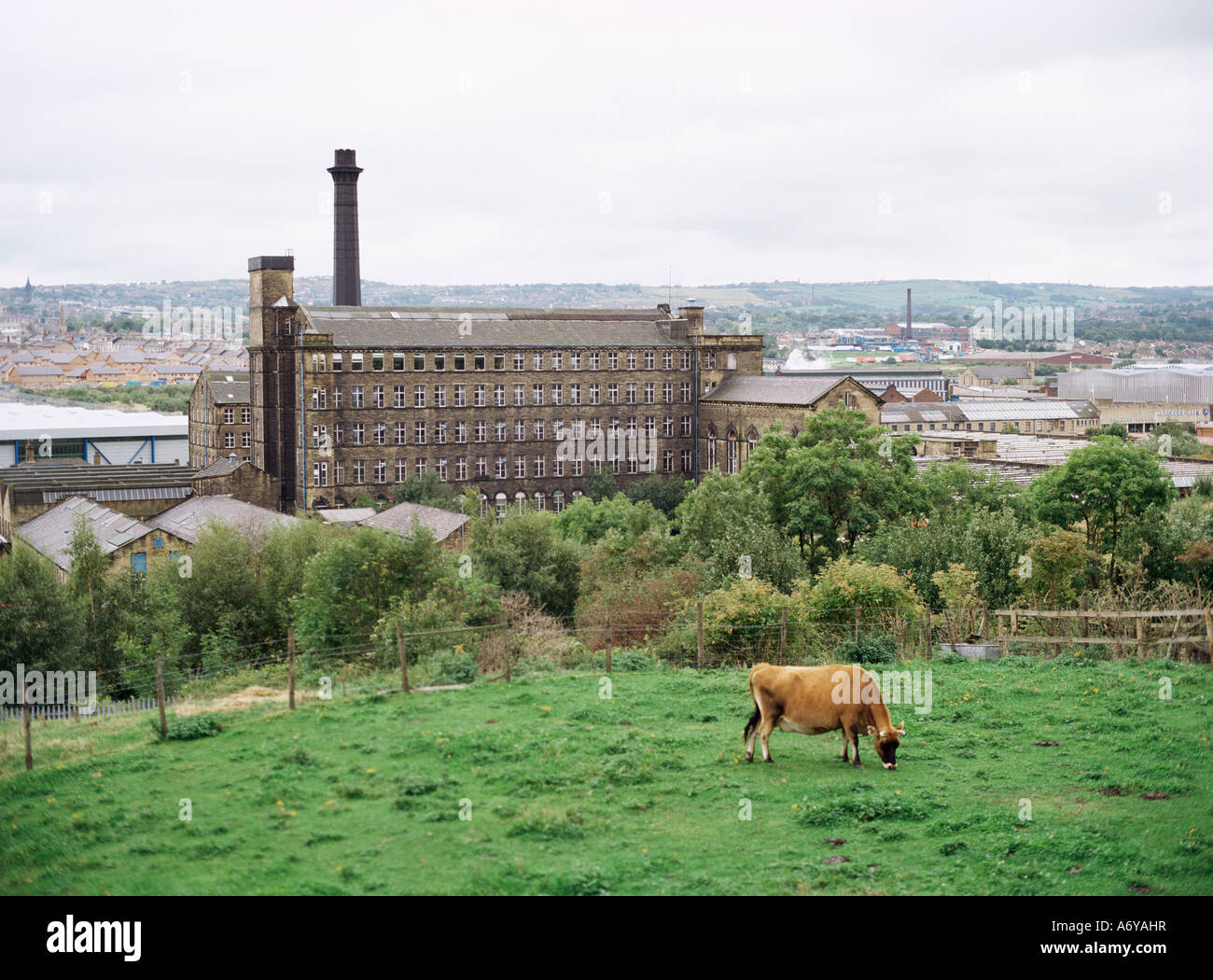 Old wool mills west of the city looking south from Manningham area ...