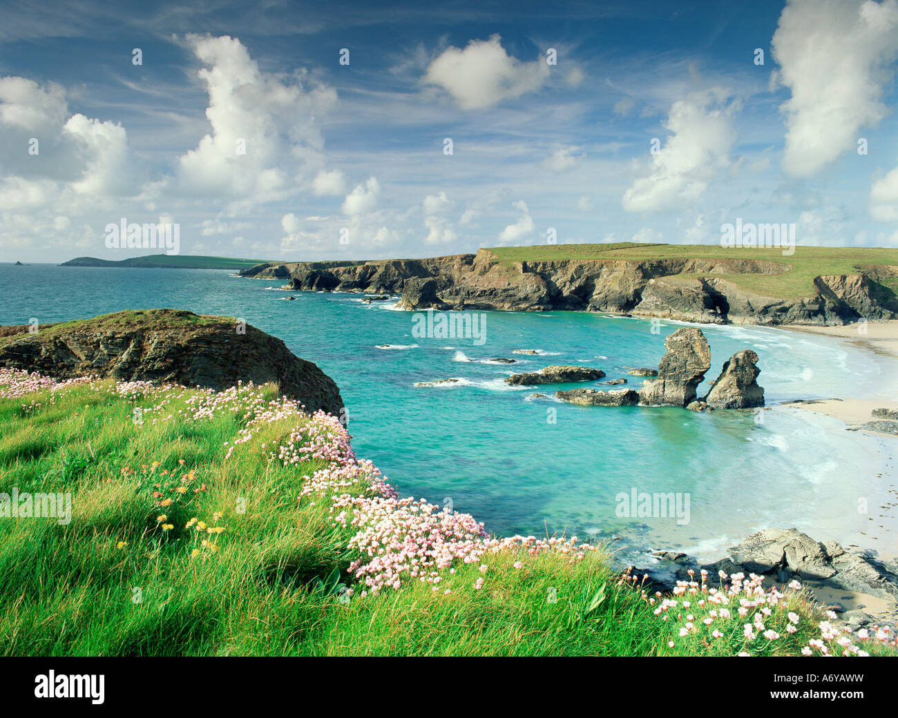 Porthcothan Bay Cornwall England United Kingdom Europe Stock Photo - Alamy