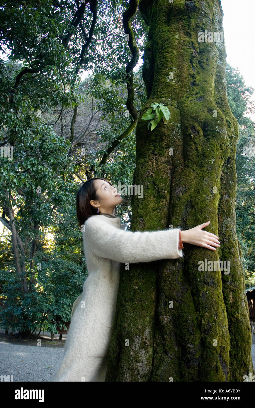 Woman embracing a tree Stock Photo - Alamy