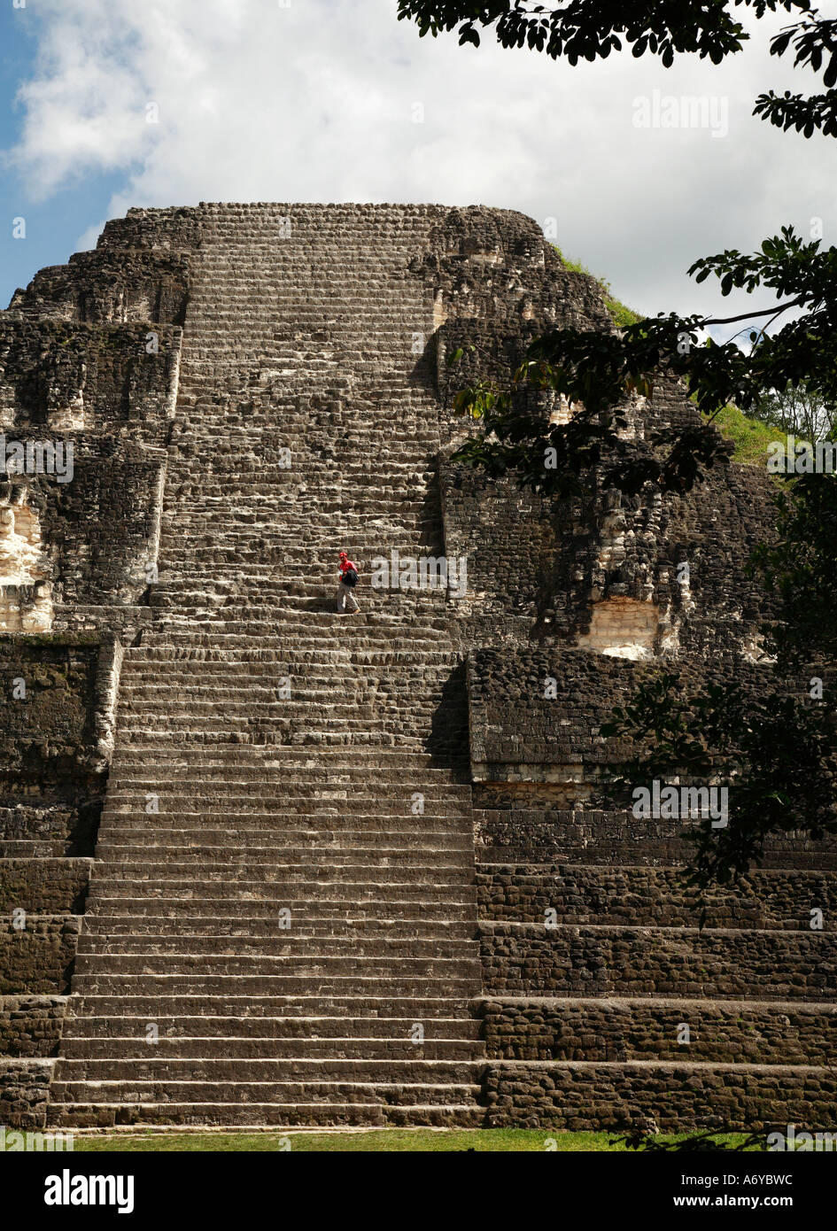 Maya pyramid in the Lost World complex Tikal Guatemala Stock Photo - Alamy