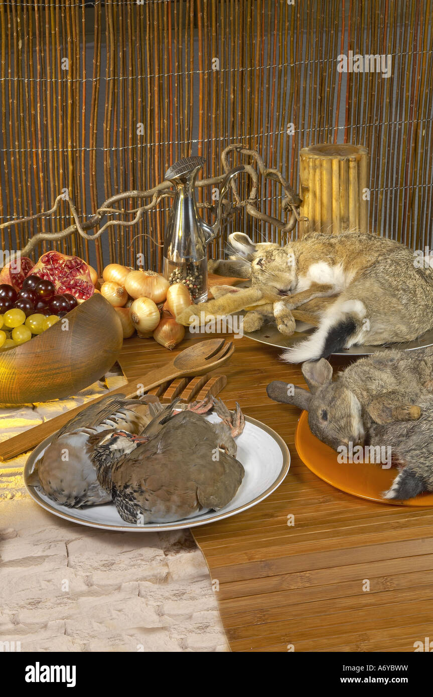 Still life of game Stock Photo - Alamy