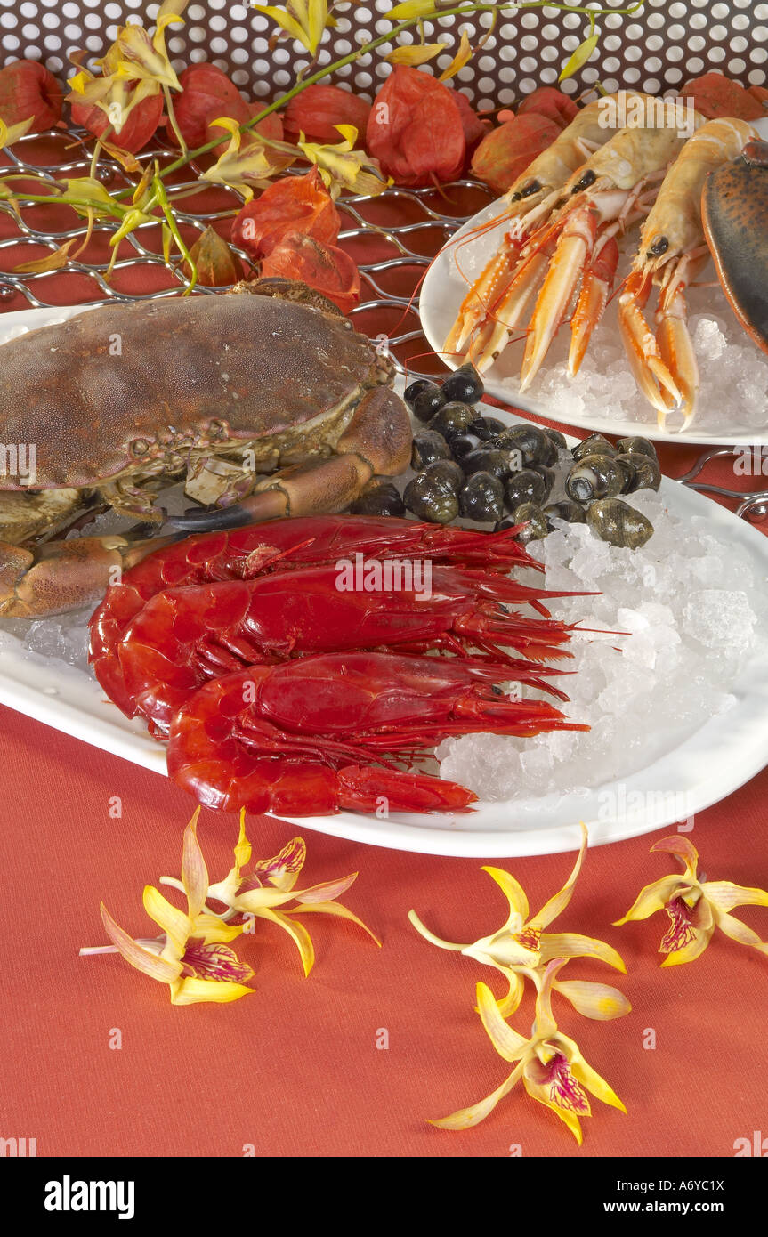 Still life with crab shrimps and lobster hi-res stock photography and ...