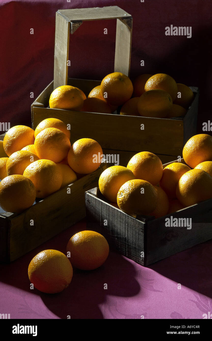 Still life of oranges Stock Photo - Alamy