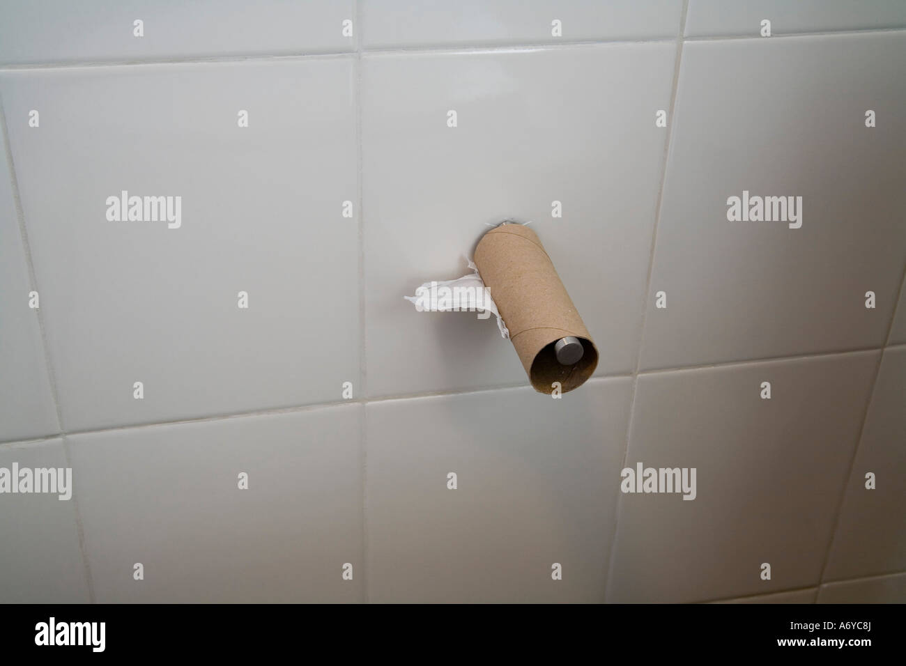 An empty toilet roll Stock Photo - Alamy