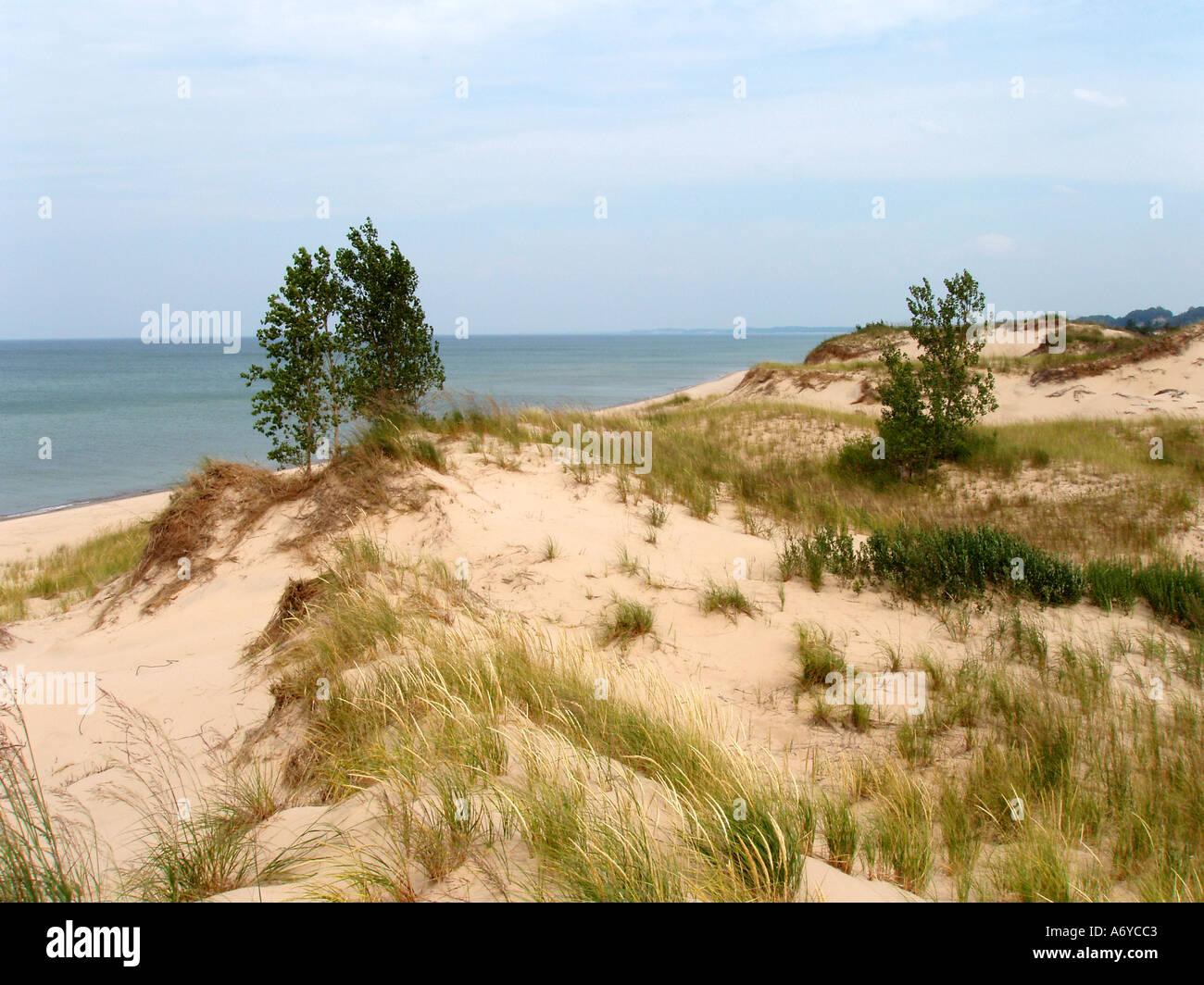 Lake Michigan Sand Dune Ludington Michigan USA Stock Photo - Alamy