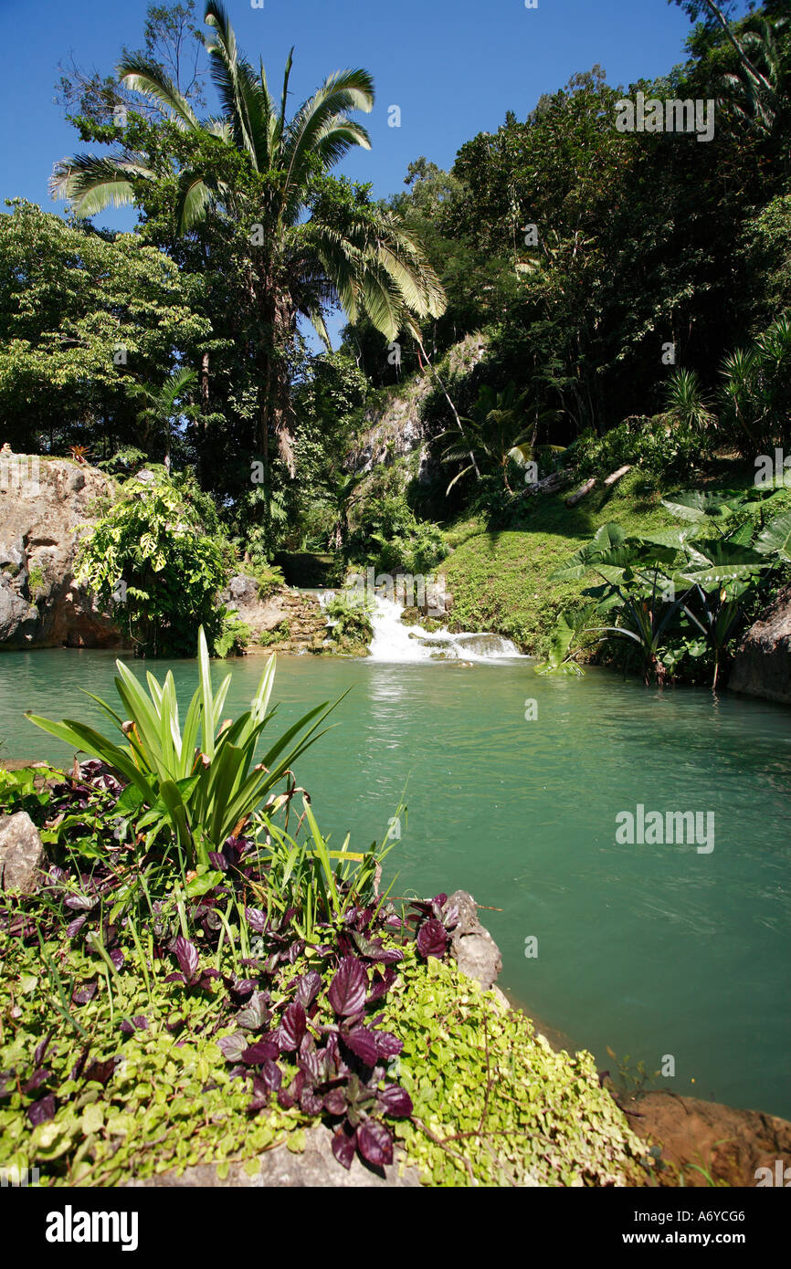 natural tropical swimming pool Belize Stock Photo - Alamy